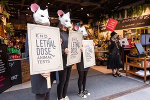 Activism Marketing in Action: Lush Case Study - Truckel Creative